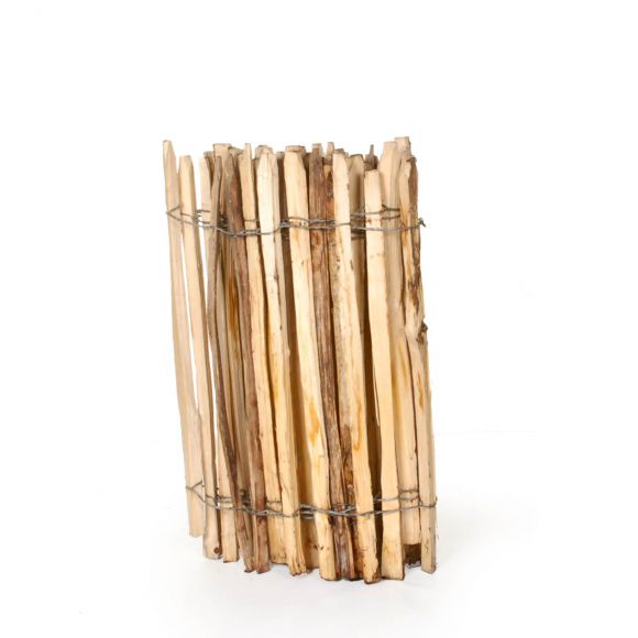 Chestnut Pale Fencing