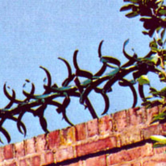 Anti Climb | Anti Climb Barriers | Ringwood Security Fencing