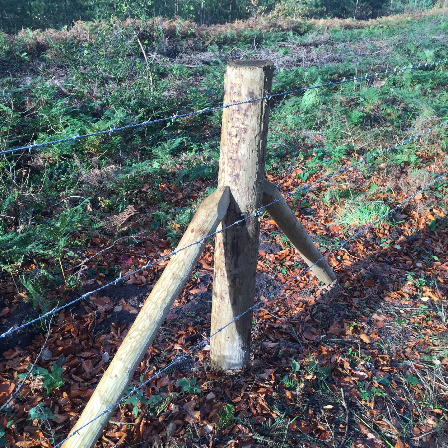 Rustic Round Timber | Ringwood Fencing | Quality Timber Chester