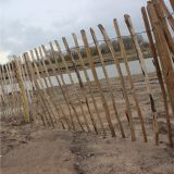 Chestnut Pale Fencing